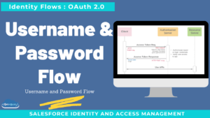 Username-Password Flow - Apex Hours