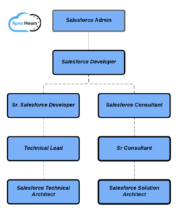 Salesforce Developer Salary in 2024 - Apex Hours