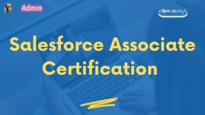 Salesforce Associate Certification Guide