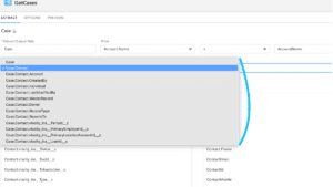 Query Records with Omnistudio DataRaptor Turbo Extract - Apex Hours