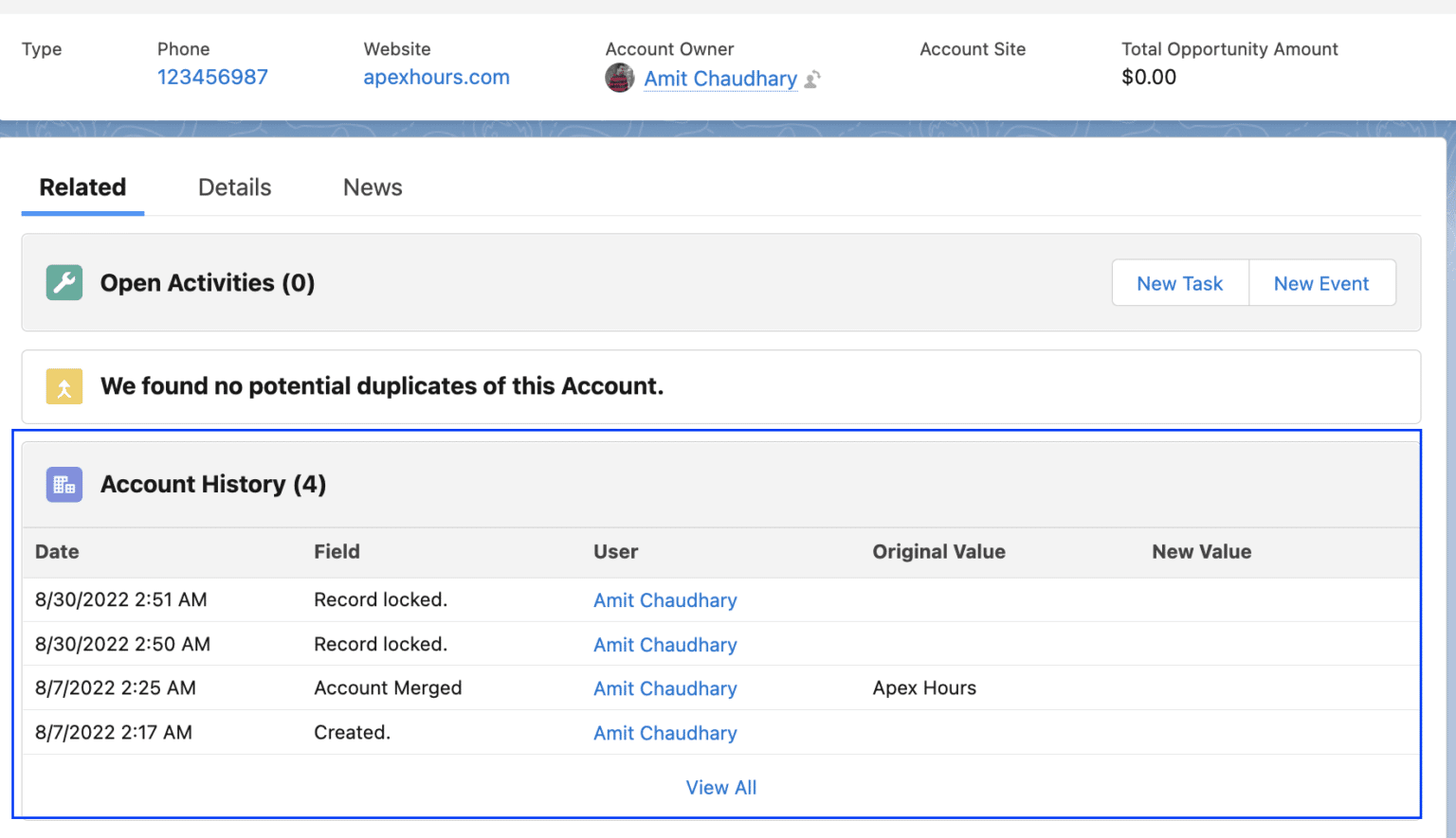 Monitoring And Auditing Tools In Salesforce Apex Hours