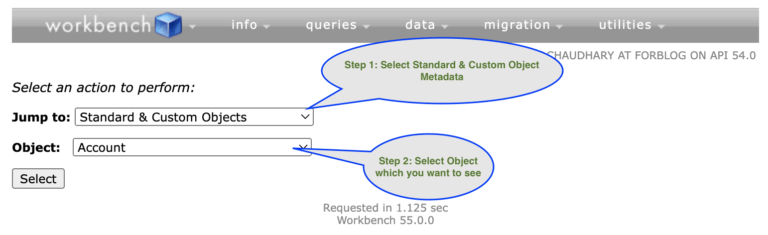Ultimate Salesforce Workbench Guide - Apex Hours