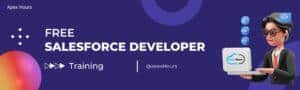 How to become a Salesforce Developer in 2025 - Apex Hours