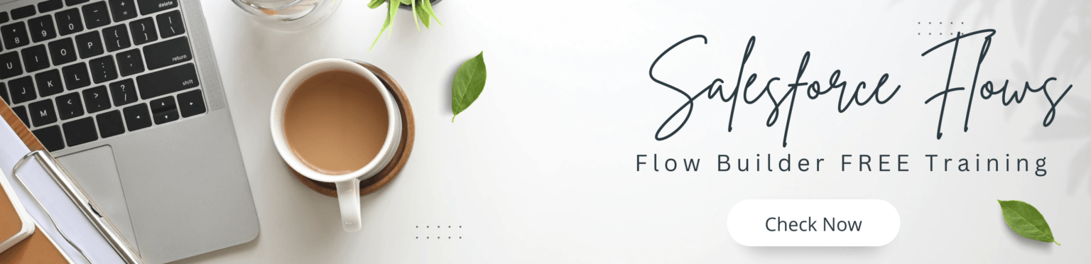 Introduction to Salesforce Flows - Apex Hours