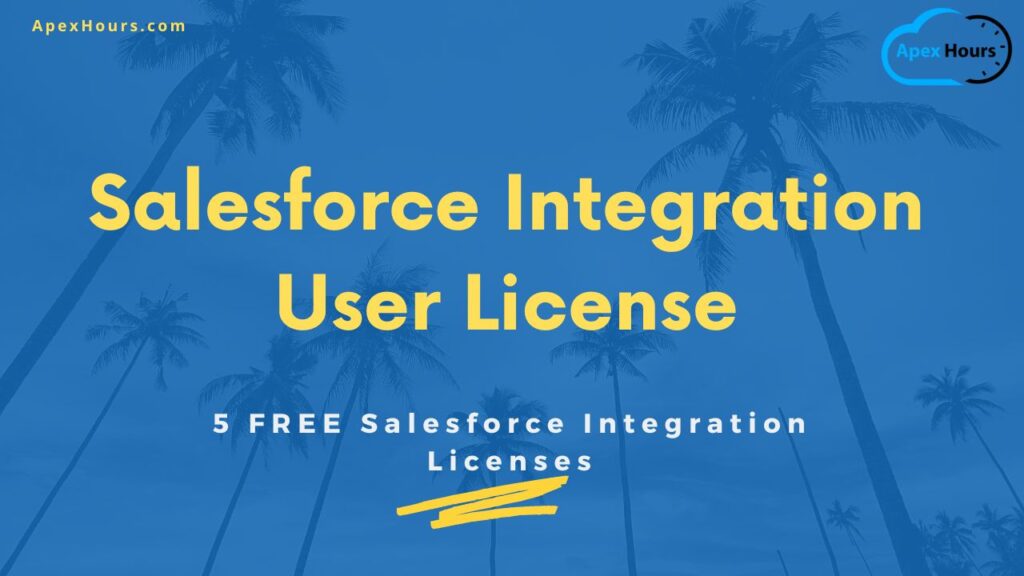 Salesforce Integration User License Apex Hours