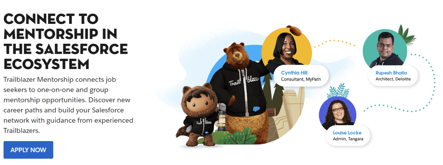 Guide to Transitioning to a Career in Salesforce in 2023 - Apex Hours