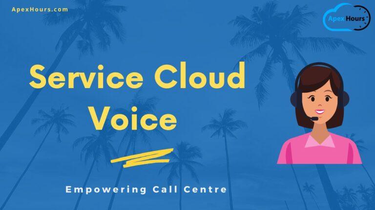 Service Cloud Voice: Empowering Call Centre - Apex Hours
