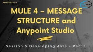 MULE 4 – MESSAGE STRUCTURE and Anypoint Studio - Apex Hours