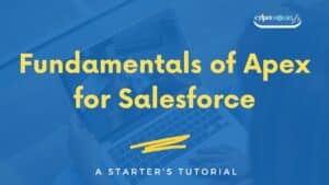 Fundamentals of Apex for Salesforce: A Starter's Tutorial - Apex Hours