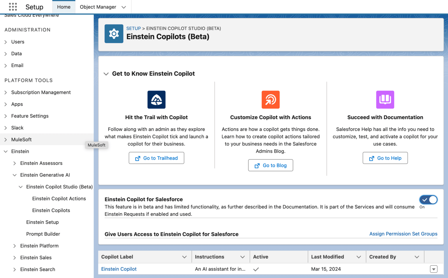 Access for Salesforce Einstein Copilot - Apex Hours