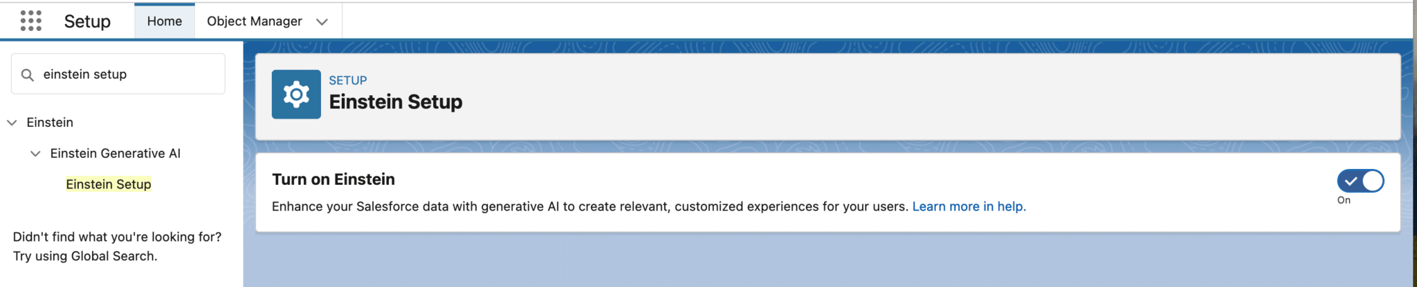 Access For Salesforce Einstein Copilot Apex Hours