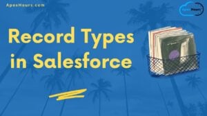 Record Types in Salesforce - Apex Hours