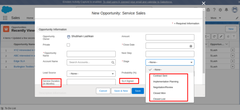 Record Types in Salesforce - Apex Hours