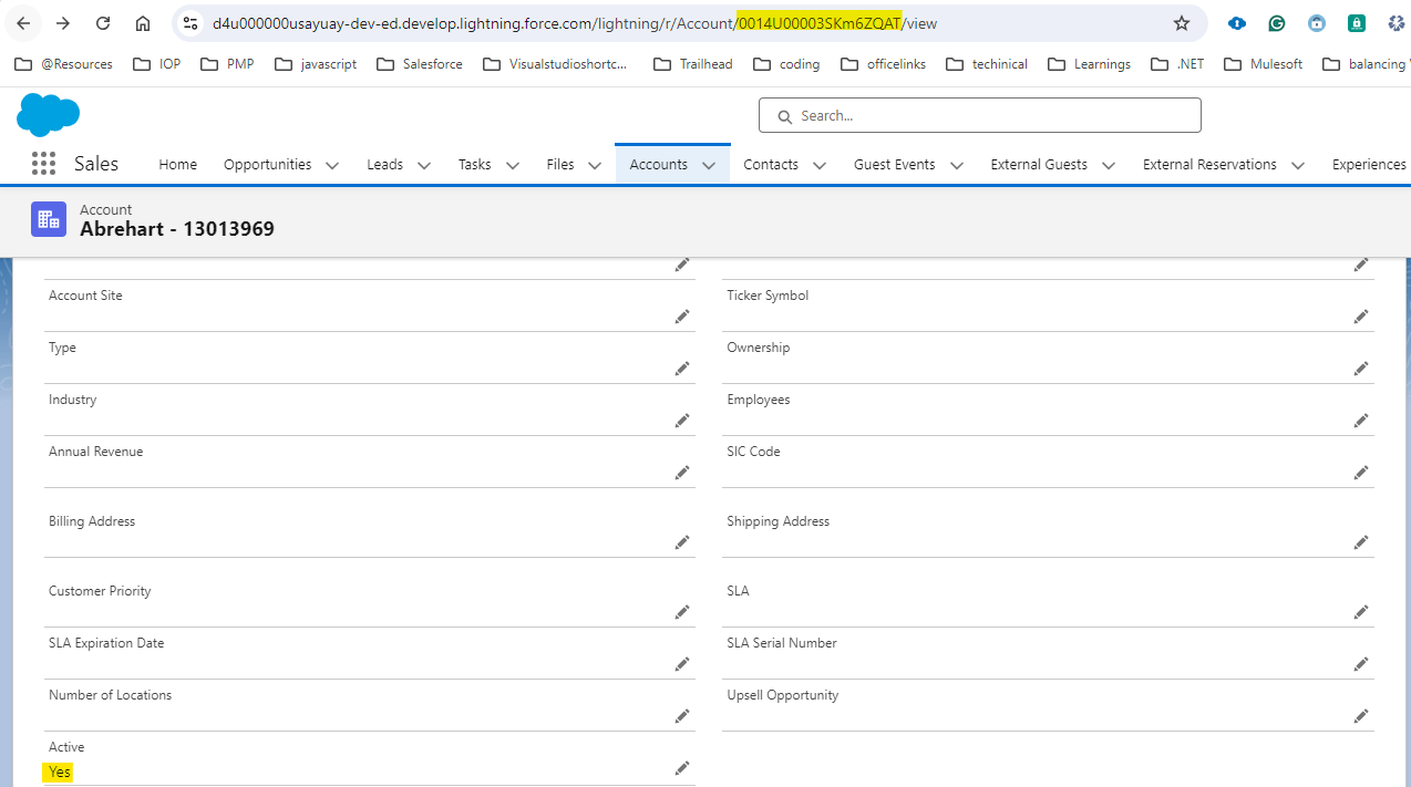 Einstein Copilot Standard and Custom Actions - Apex Hours