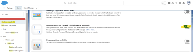 Dynamic Highlights Panel - Winter 25 release - Apex Hours