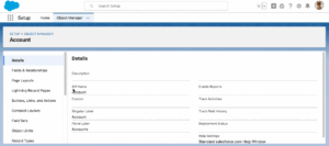 Quickly Check Object Access/Permissions in Object Manager - Apex Hours