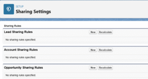 Demystifying Record-level Security in Salesforce: Who Sees What and Why It Matters - Apex Hours