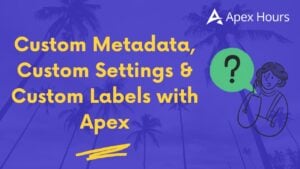 Custom Metadata Types Guide - Apex Hours